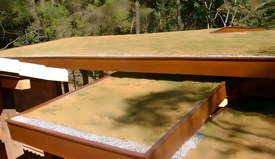 Telhado Verde: O que é | Como Funciona | Qual valor?