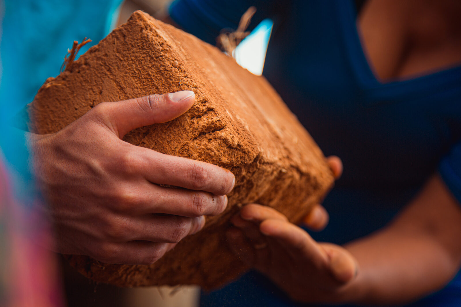 Adobe - 6 Inovações